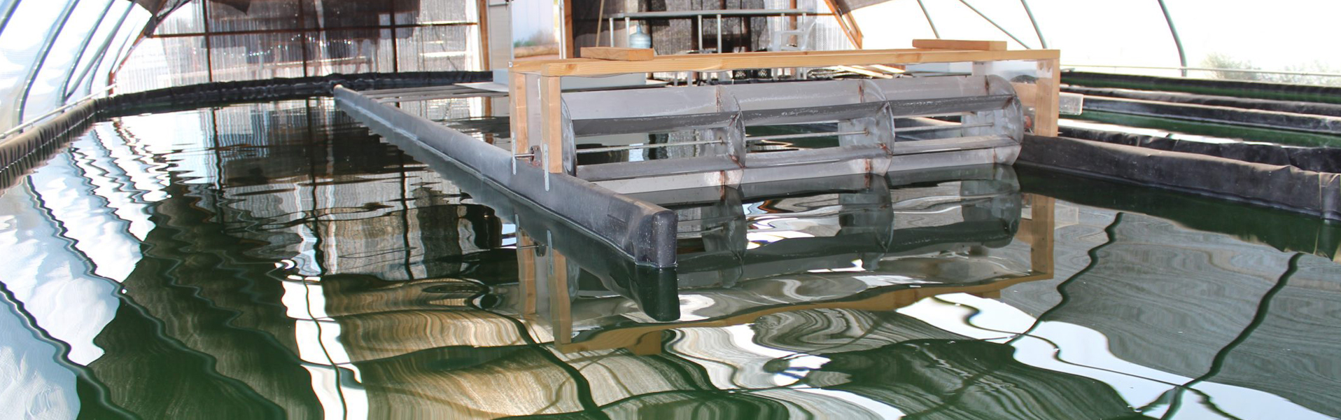 Algae Technology Educational Consortium