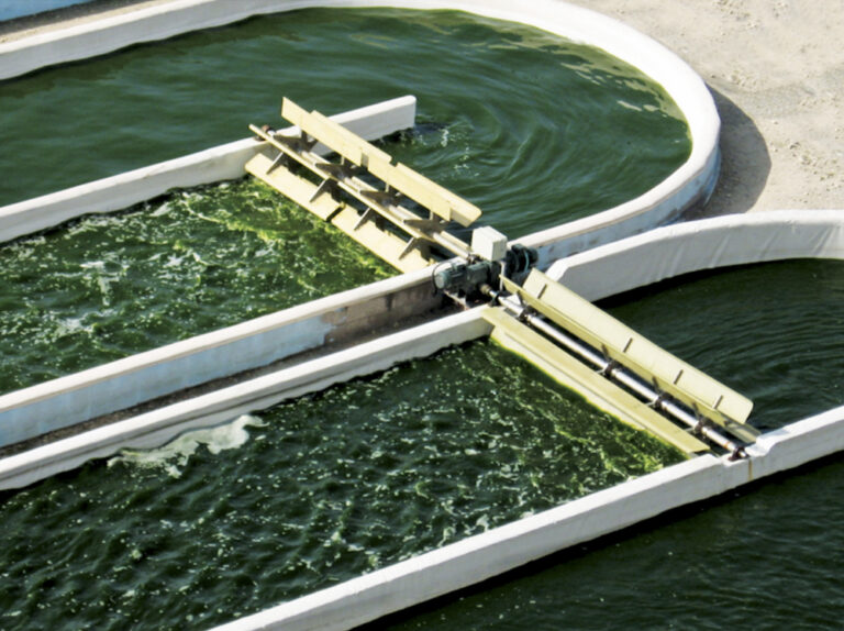 ACES Part 2: Microalgae Course – ATEC