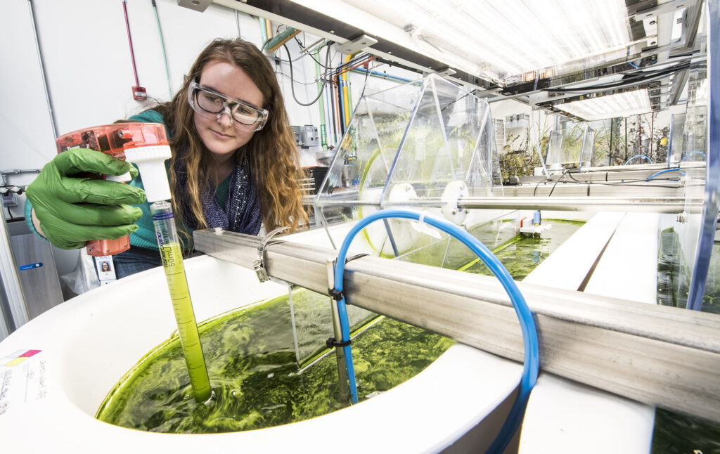 Algal Cultivation Curriculum – ATEC